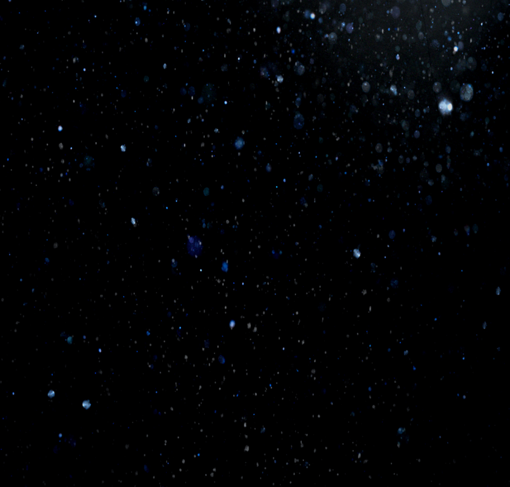 Emilie de Ravin regresa como invitada especial de la S7 - Spoiler