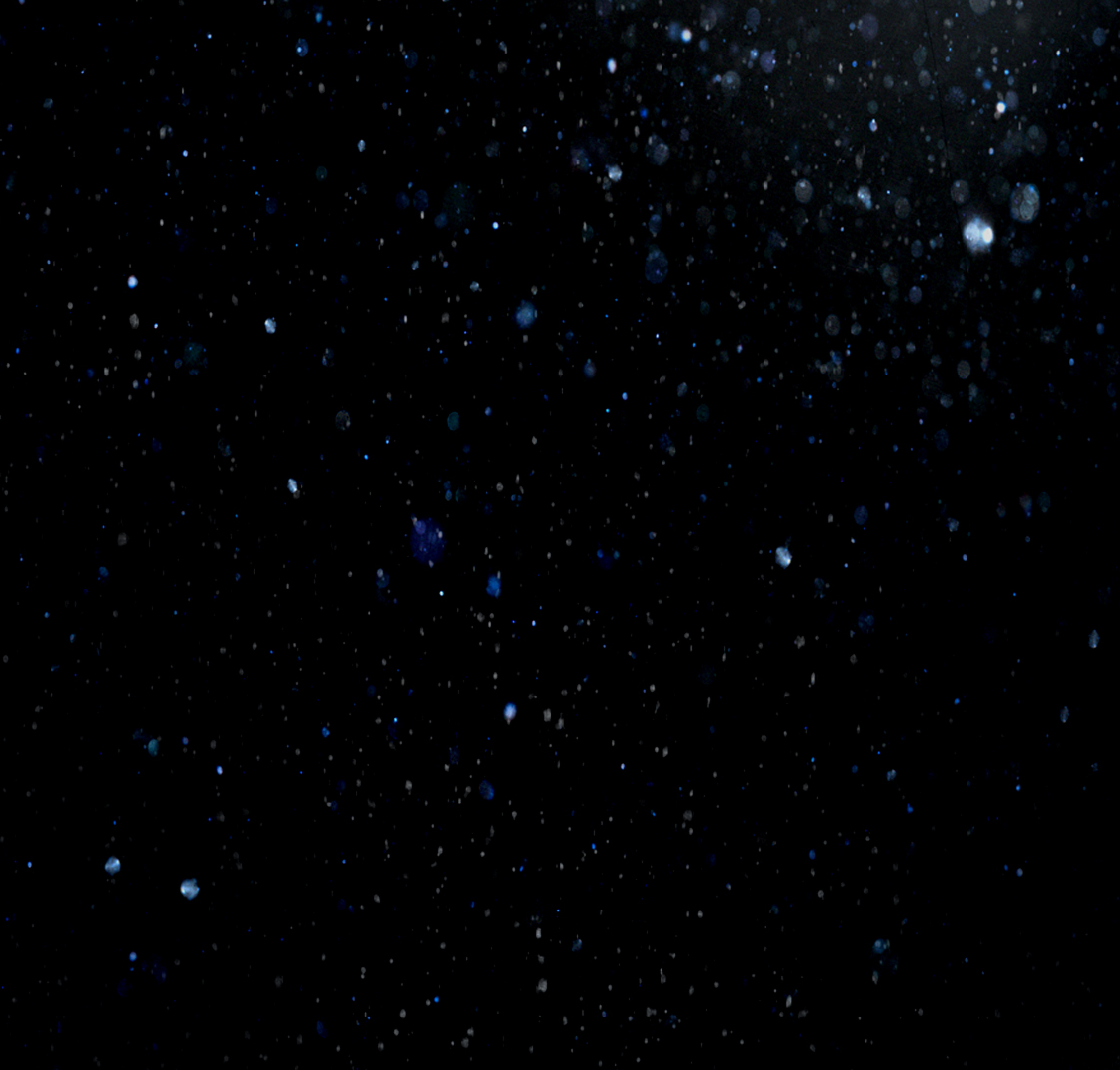 Netflix confirma Las Guerreras K-pop 2 para 2029 - Spoiler